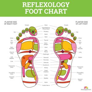 Foot Reflexology Chart - Massageaholic